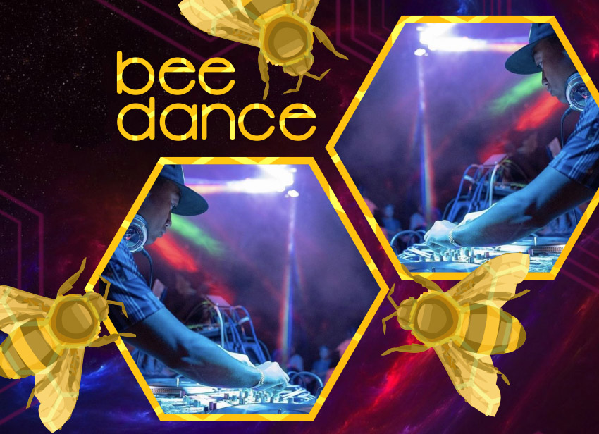 Bee Dance - Hawaiian Sanctuary